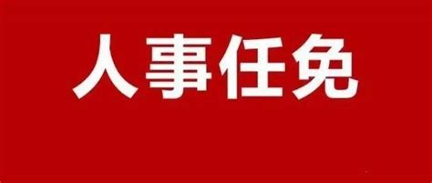 河池最新一批人事任免职名单！涉及多名局长、主任金城江区大化职务