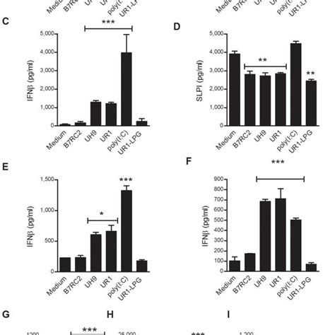 Endocervical Ad Ectocervical Fi And Vaginal E G Epithelial