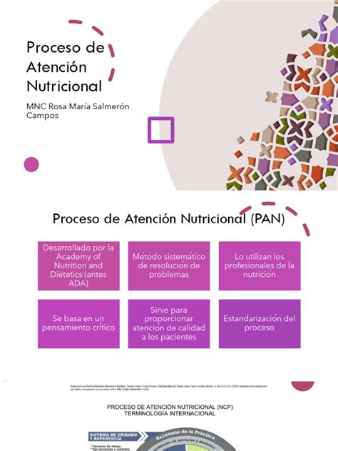 Proceso De Atención Nutricional Pdf Nutrición Dieta Y Nutrición