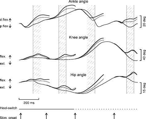 Average Kinematic Responses N 5 At The Ankle Knee And Hip Joints Download Scientific