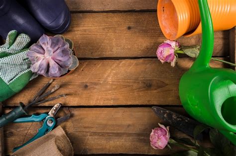 Free Photo Flat Lay Gardening Composition With Copyspace