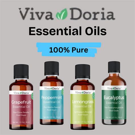 The Cognitive Benefits Of Rosemary Essential Oil — Essential Oils Articles