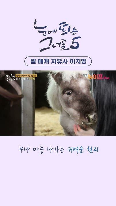 귀 쫑긋👂🏻 누나 마중 나가는 작은 말 월리🐴 눈에띄는그녀들5 Youtube
