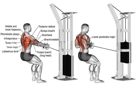20 Cable Machine Back Exercises With Back Workout Routine