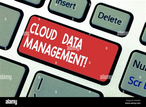 word writing text cloud data management business concept for a