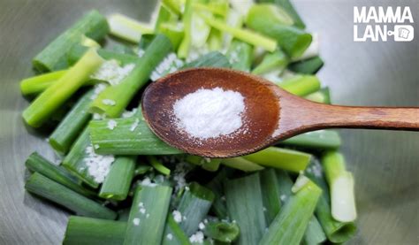 대파 김치 담그는법 파김치 양념 만들기 대파무침