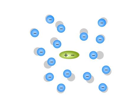 Polaron Dynamics Falko Pientka Research Group