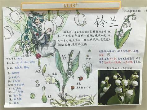 自然笔记我来绘关于植物的自然自然简单大山谷图库