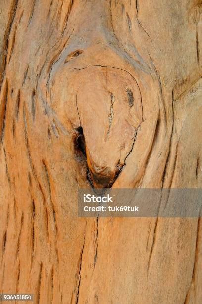 Latar Belakang Tekstur Kayu Abstrak Foto Stok Unduh Gambar Sekarang