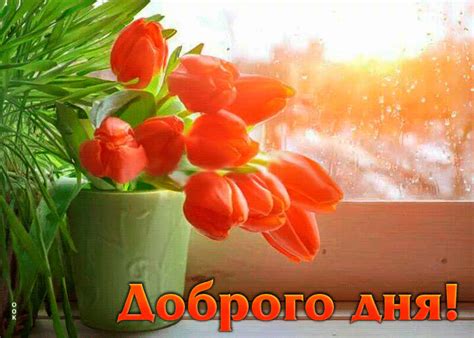 Солнечная и радостная гиф открытка Доброго дня Скачать бесплатно на