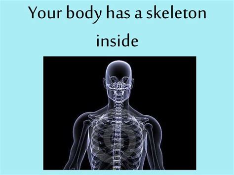 My Body Powerpoint