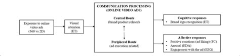 conceptual framework scheme and neurophysiological measurements et