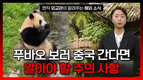 푸바오 도시 청두 여행 시 주의 사항 [해외안전여행정보] Ytn Korean Youtube