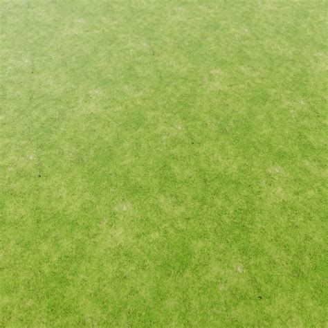 Grass Texture 2219 Lotpixel