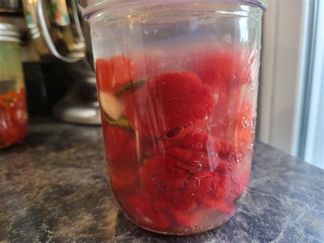 First Attempt Help White And Cloudy Water Is Good Right R Fermentation