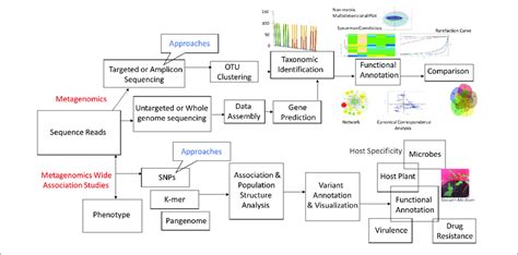 Metagenomics Flowchart
