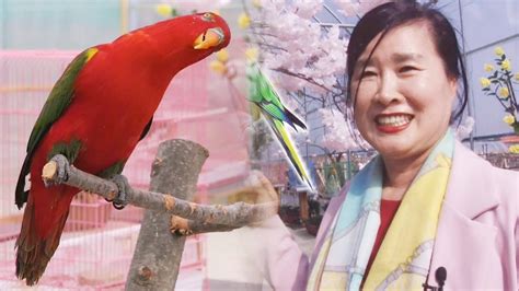 직장 옆에 300여 마리의 새들을 기르는 ‘새 엄마 순간포착 세상에 이런 일이 980회 20180412 Youtube
