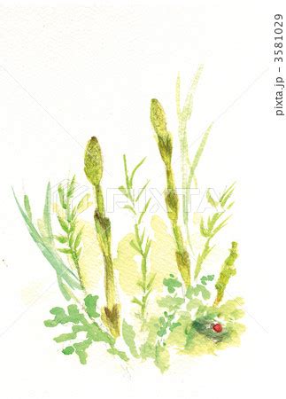 春の訪れのイラスト素材 3581029 PIXTA