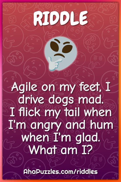 Agile On My Feet I Drive Dogs Mad I Flick My Tail When Im Angry And