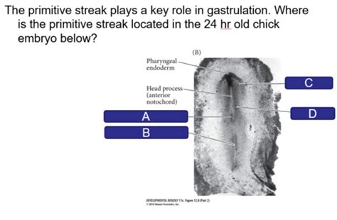 Bio 351 Exam 2 Review Questions Flashcards Quizlet