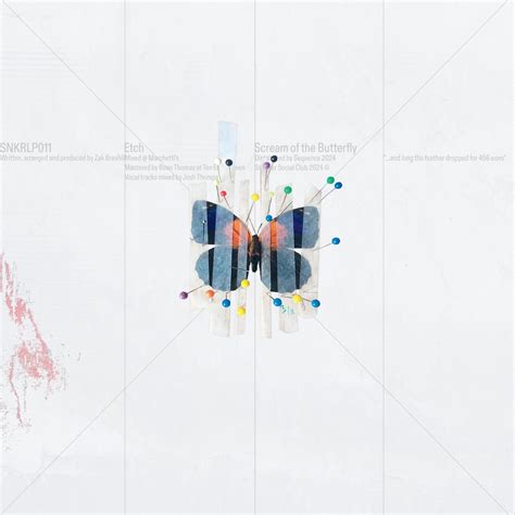 Etch Scream Of The Butterfly Reviews Album Of The Year