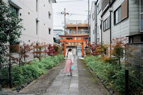 交通安全のご利益ならここ。樹齢600年のご神木が見守る〈久我神社〉｜寺社につき喫茶。絵になる京都ご多幸散歩 Vol3 神社編