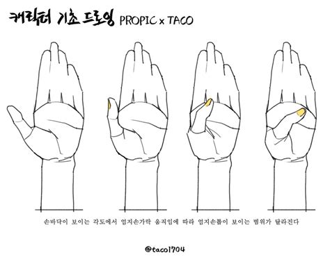 「손바닥이 보이는 각도에서 엄지손가락 움직임에 따라 엄지손톱이 보이는 범위」타코작가の漫画