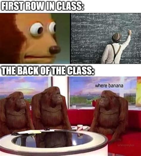 First Row In Class Vs The Back Of The Class