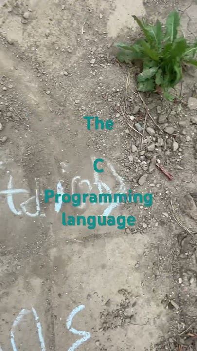 C Program Youtube