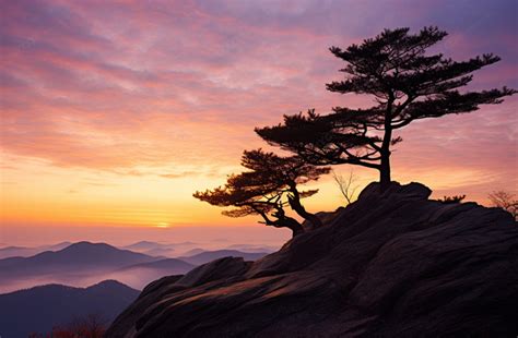 빛의 광선이 그를 비추고 있는 바위 꼭대기에 서 있는 예수 천국은 예수의 실제 그림을위한 것입니다 배경 일러스트 및 사진 무료 다운로드 Pngtree