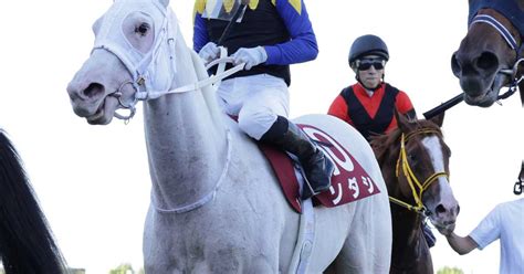ソダシ 直行または毎日王冠か府中牝馬sをステップにマイルcsへ サンスポzbat