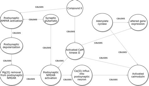 Causal Maps The Quest For Explanations
