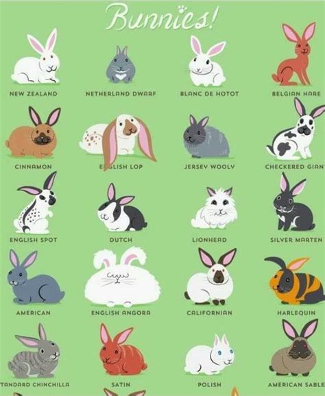 173 Bunny Names To Make A Rabbit Proud To Call A Hutch Home Artofit
