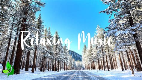 Soothing Piano Music Relaxing Music For Deep Sleep Relaxation