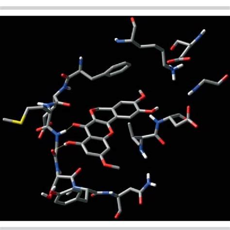 Proposed Binding Mode Of Acanilol B Docked Into The Atp Pocket Of