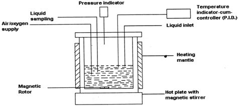 Schematic Diagram Of High Pressure Reactor Download Scientific Diagram