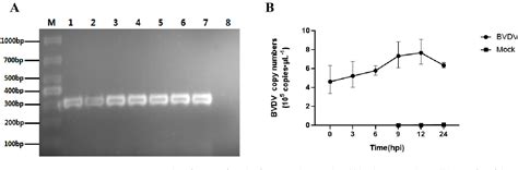 Figure 1 From Integrative Transcriptomics And Proteomics Analysis Reveals Immune Response