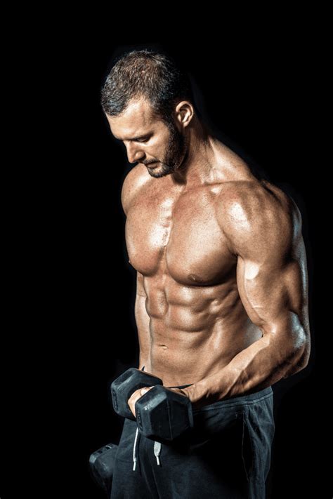 11 Barbell Curl Alternatives For Jacked Biceps 2023 Horton Barbell