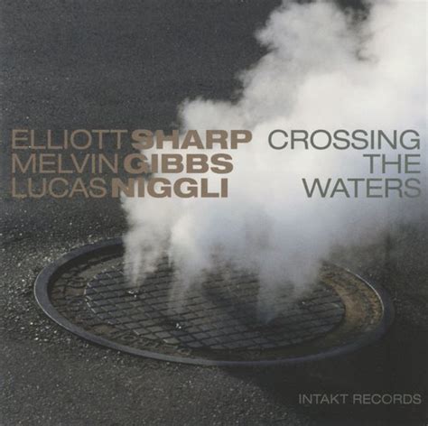 Elliott Sharp Melvin Gibbs Lucas Niggli Crossing The Waters Cd Lucas Niggli Bol