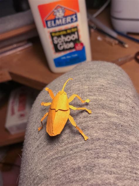 Acorn Weevil R Papercraft
