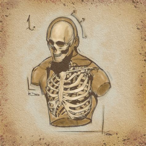 Ballistic Dummy Lab