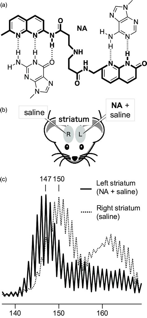 A Chemical Structure Of Cag Repeat Binding Molecule Na Shown In