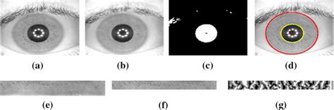 Iris Pre Processing A Eye Image B Eye Image After Gray Scale Closing Download Scientific