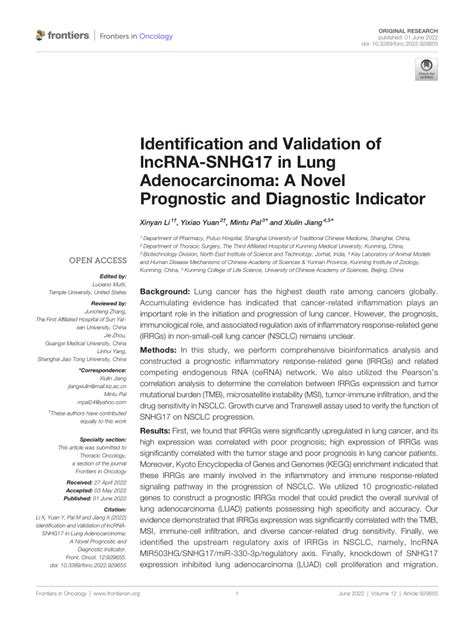 Pdf Identification And Validation Of Lncrna Snhg17 In Lung Adenocarcinoma A Novel Prognostic