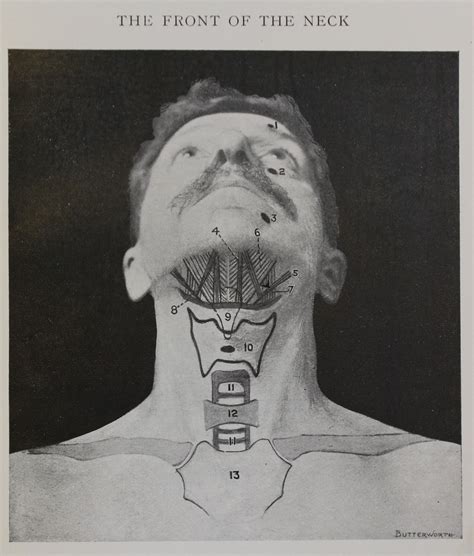 Anatomy X Rays Sex And Morals Recent Donations To The Heritage