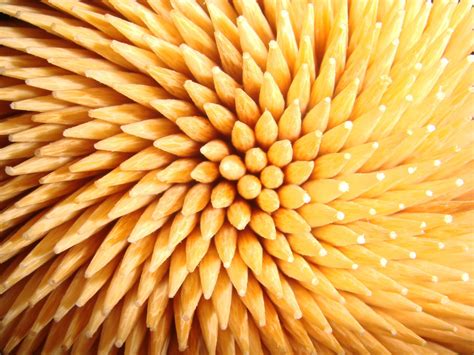 Beige Artwork Digital Wallpaper Fibonacci Sequence Hd Wallpaper
