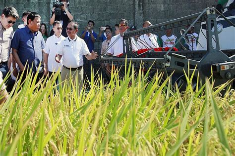 Philippine Q Agriculture Output Up Year On Year GMA News Online