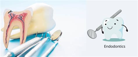 Endodontics