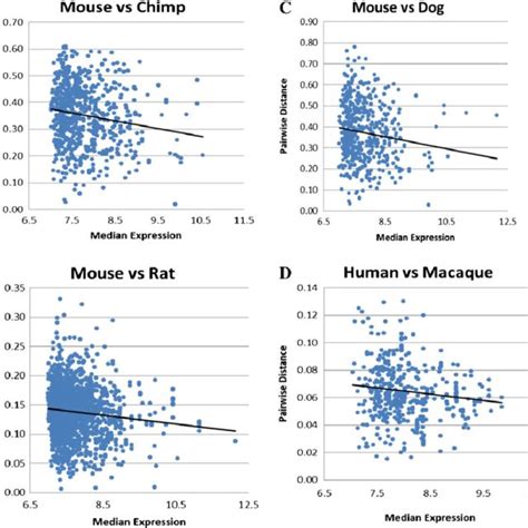 correlation between the evolutionary rates and expression levels