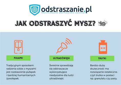 Jak pozbyć się myszy Skuteczny sposób na myszy w domu i innych pomieszczeniach